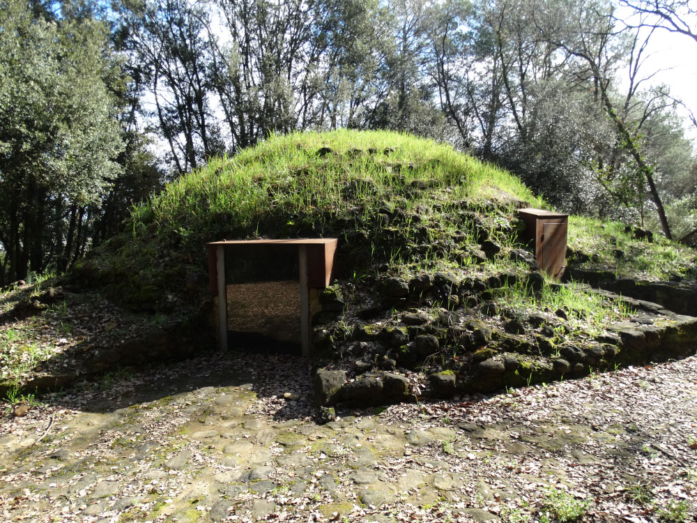 Visites guiades al patrimoni de la comarca - Pou de glaç de Palol de ...